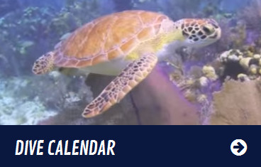 front-divecalendar – Conch Republic Divers